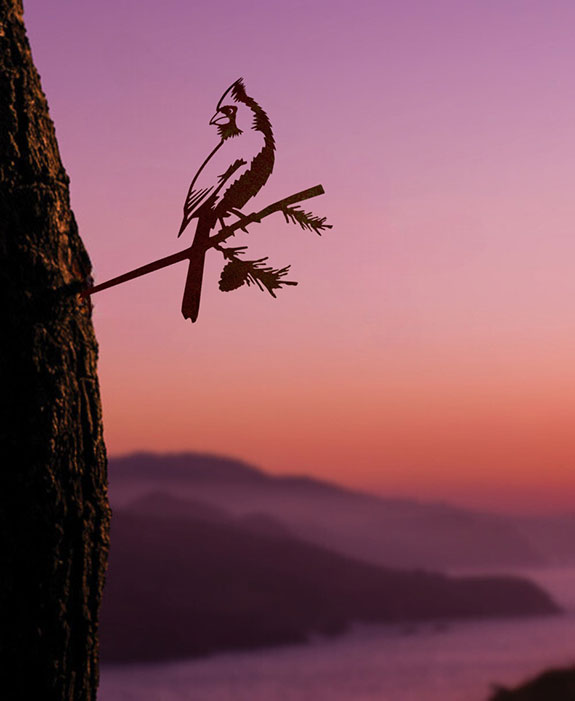 Metalbird– Metalbird USA